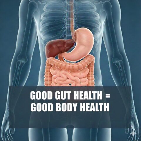 How Your Gut Health is Sabotaging Your Whole Body | Herbal Pharmacist